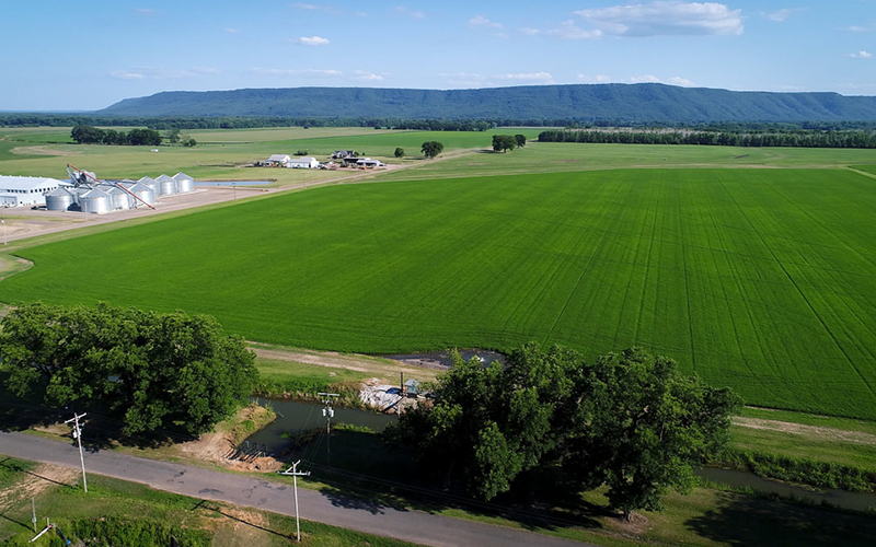 Farm Life | Ralston Family Farms